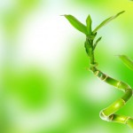 LENTUR SEPERTI BAMBU - GBI Pasir Koja 39 Bandung